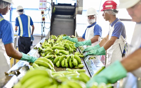 Mexifrutas and Frutco join Forces! - FRUIT PROCESSING magazine