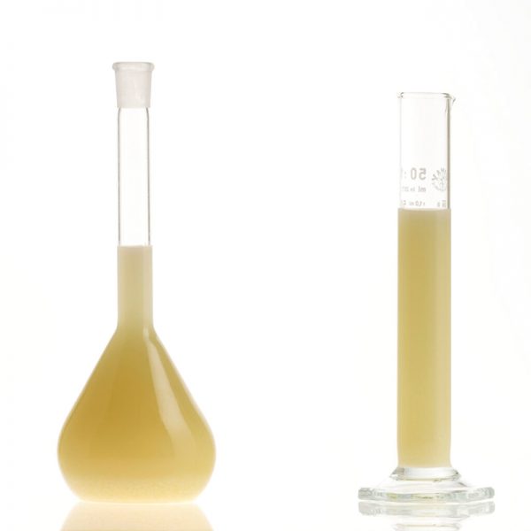 AILIMPO presents to the EU an initiative to replace citric acid (E-330 ...