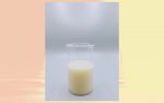 Sophie's Bionutrients develops world's first dairy-free micro-algae ...