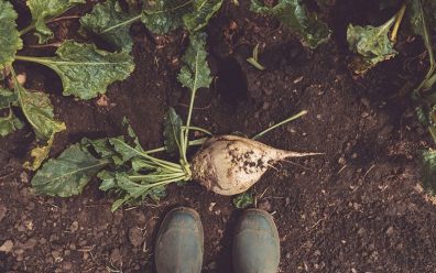 Biosyntia closes a 11.5 million EUR round to launch world’s first bio ...