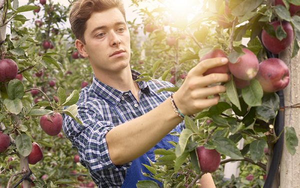 EcoVadis Silver for VOG Products - FRUIT PROCESSING magazine