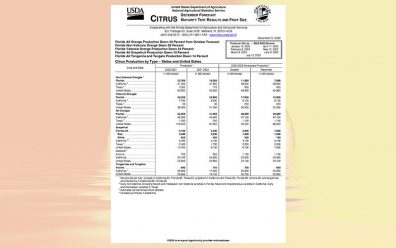 USDA: Florida citrus November 2022 forecast - FRUIT PROCESSING magazine