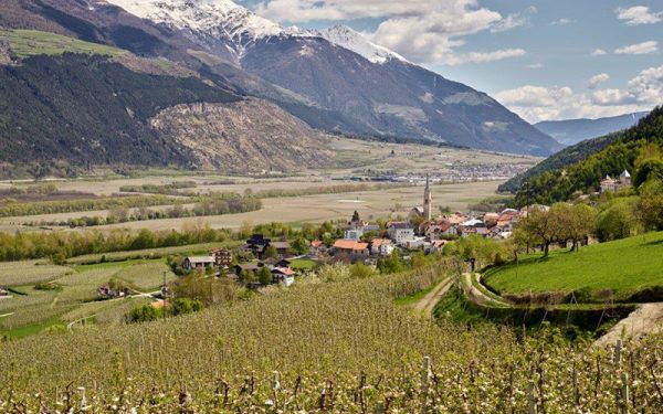 VOG Products submits first sustainability report - FRUIT PROCESSING ...