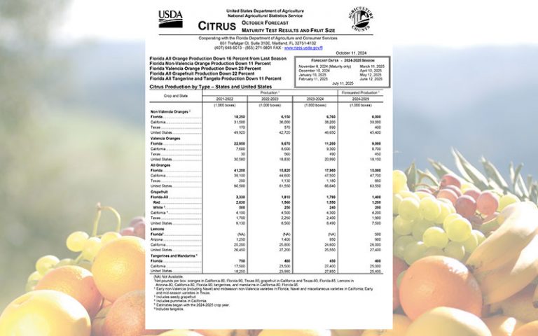 USDA: Florida citrus October 2024 forecast - FRUIT PROCESSING magazine